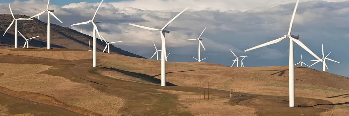 Unveiling Bankable Project Profiles: A Peek into Success » Project ...