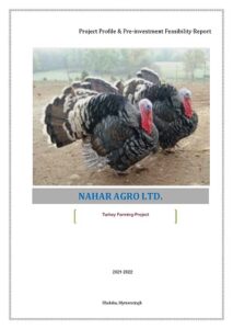 Turkey Farming Project Profile Sample » Project Profile Bangladesh